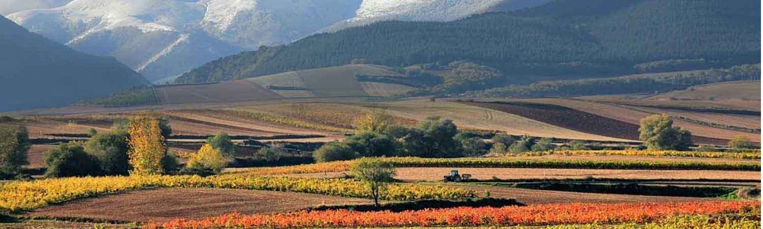 15 destinos que ver en La Rioja, los más top - ilutravel